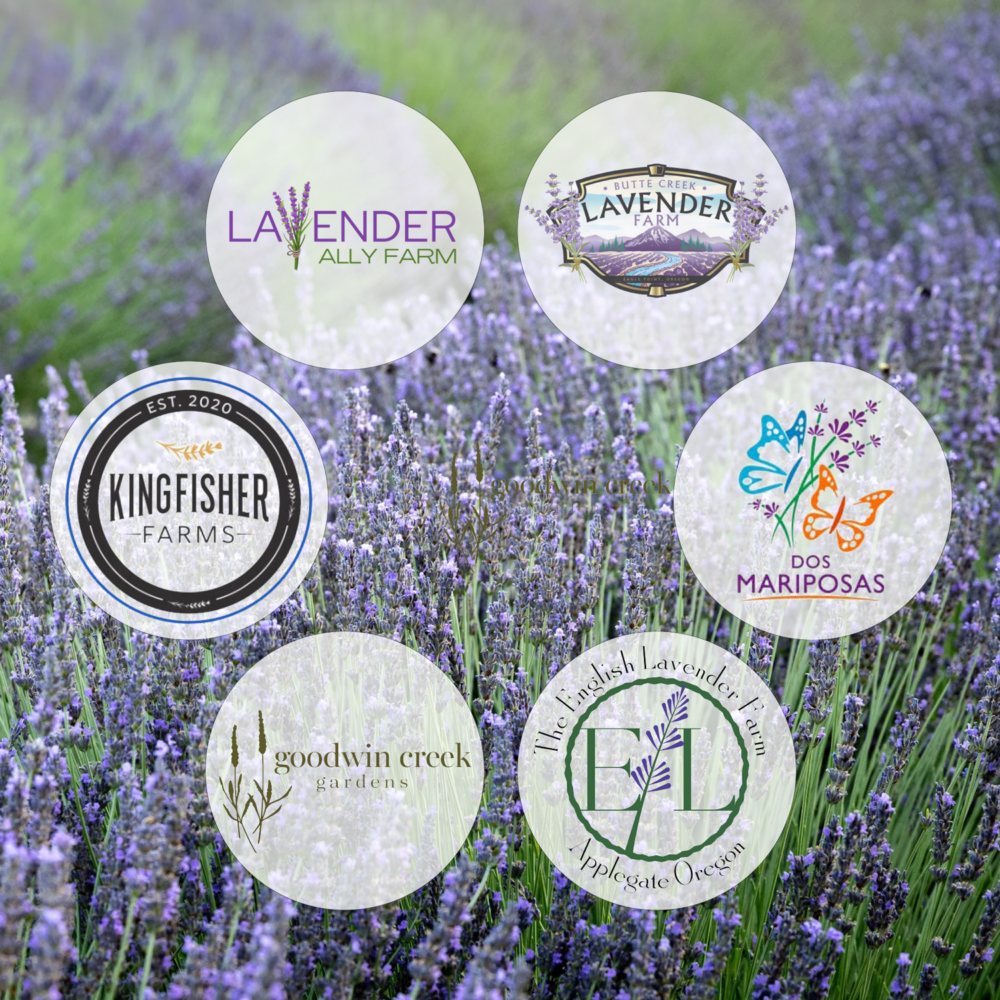 Southern Oregon Lavender Trail